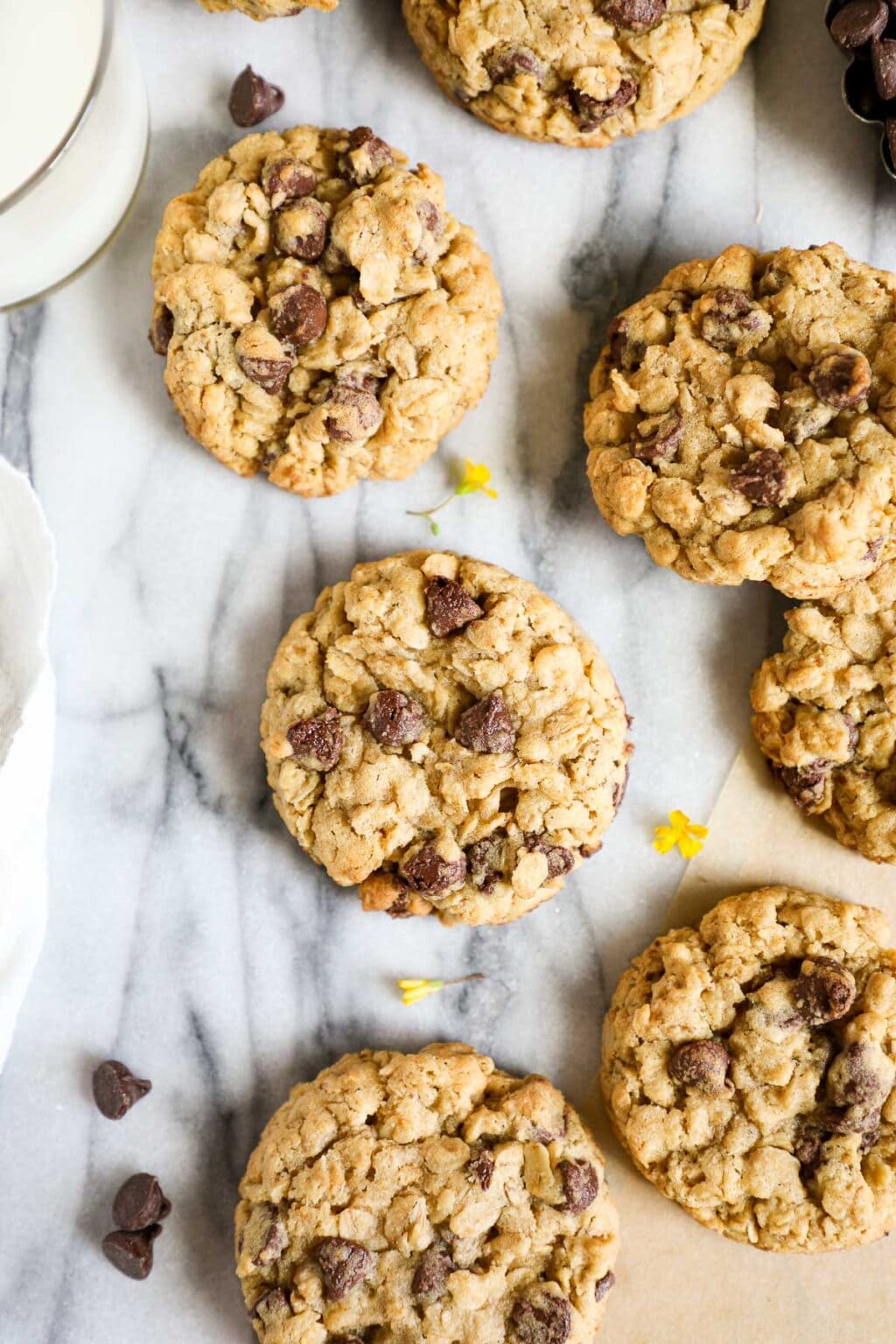 Small Batch Oatmeal Chocolate Chip Cookies - Elle & Pear