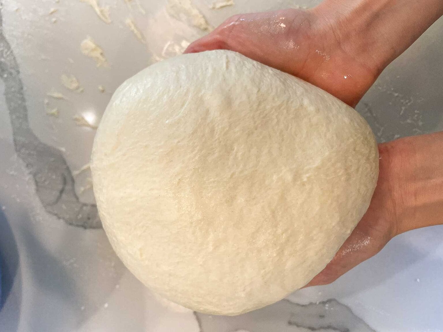 Poolish Pizza Dough - Elle & Pear