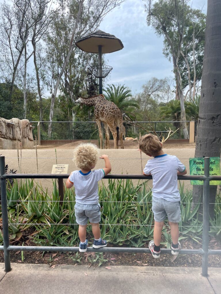 Tips for Visiting the San Diego Zoo with Kids - Elle & Pear