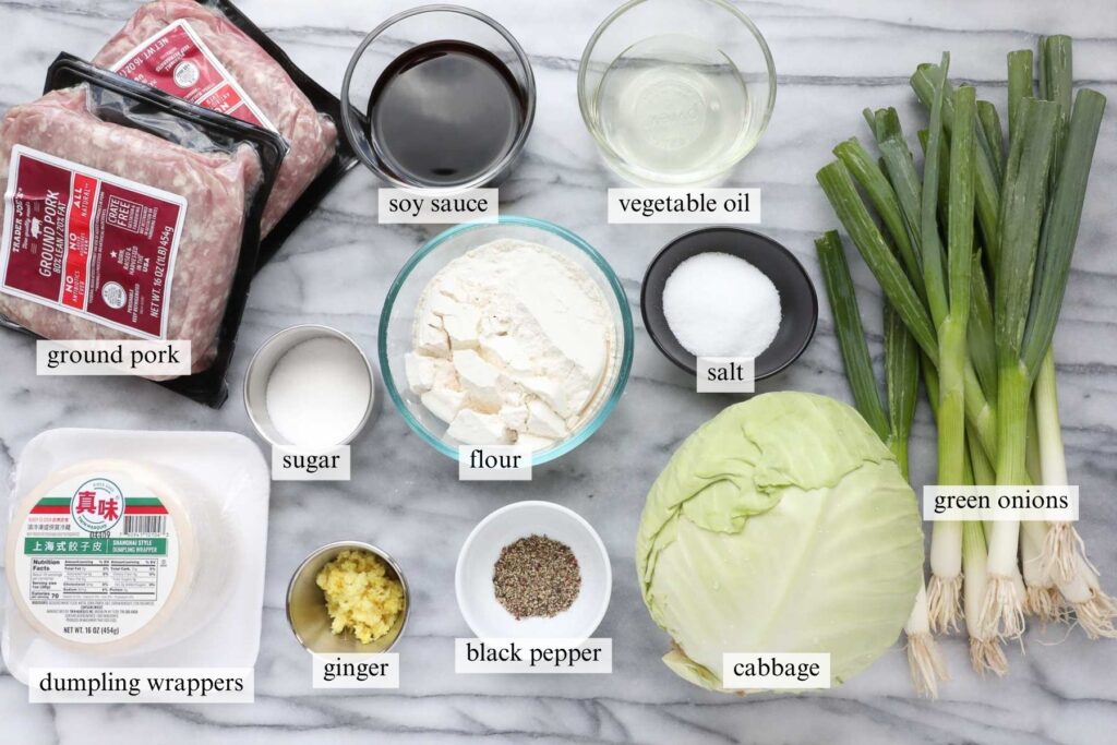 Chinese Pork Dumplings - Elle & Pear